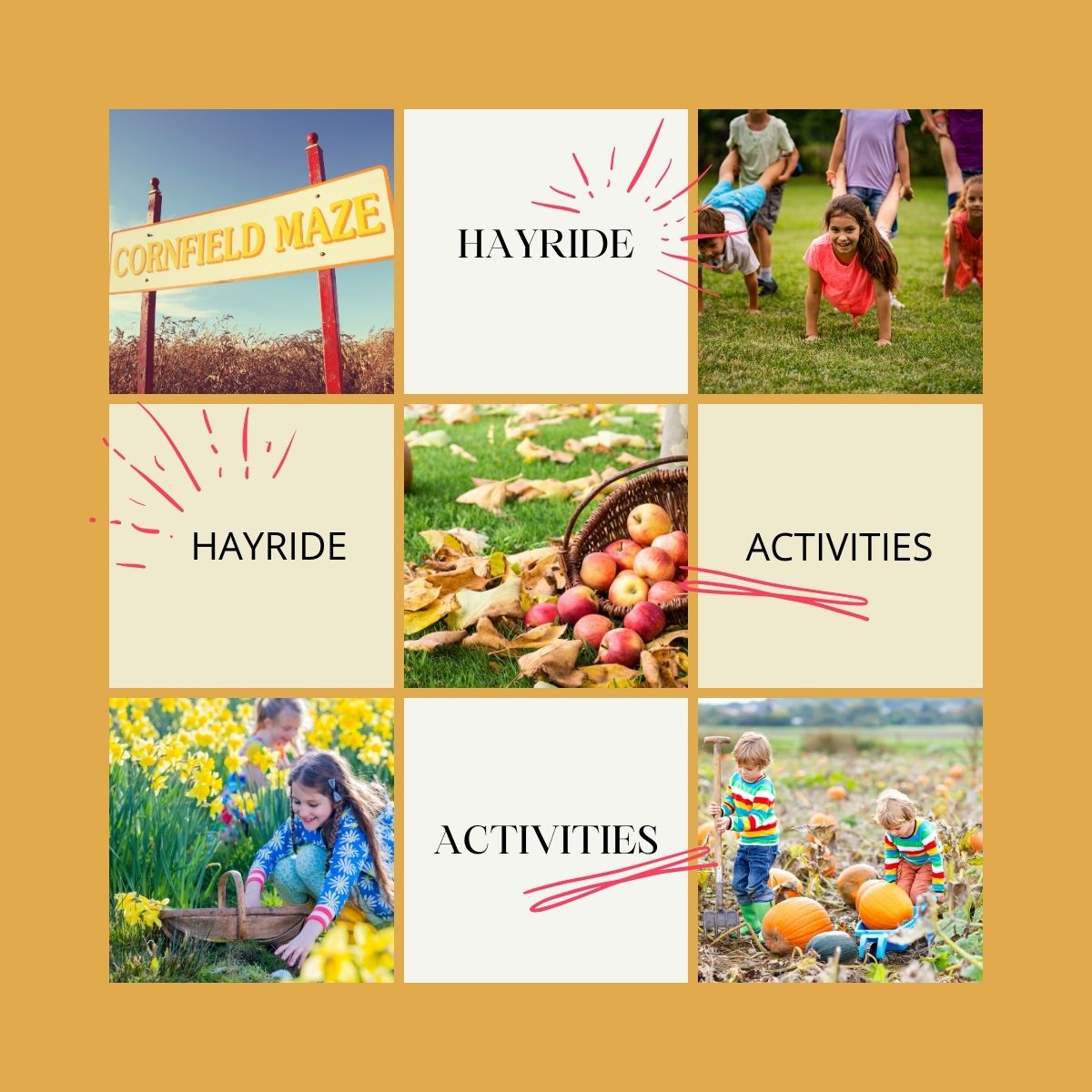 Memorable Hayride Ideas for Family Gatherings